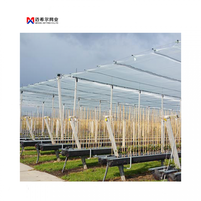 High Density Anti Hail Netting Cloth For Gardens Apple Tree Hail ...